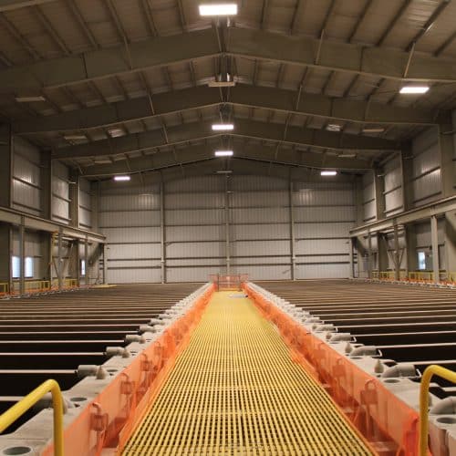 Opportunity for Florence | Florence Copper